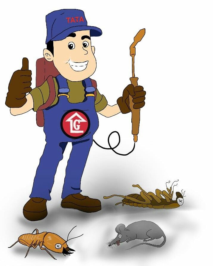 Jasa Pest Control Surabaya - TATA SINAR GEMILANG